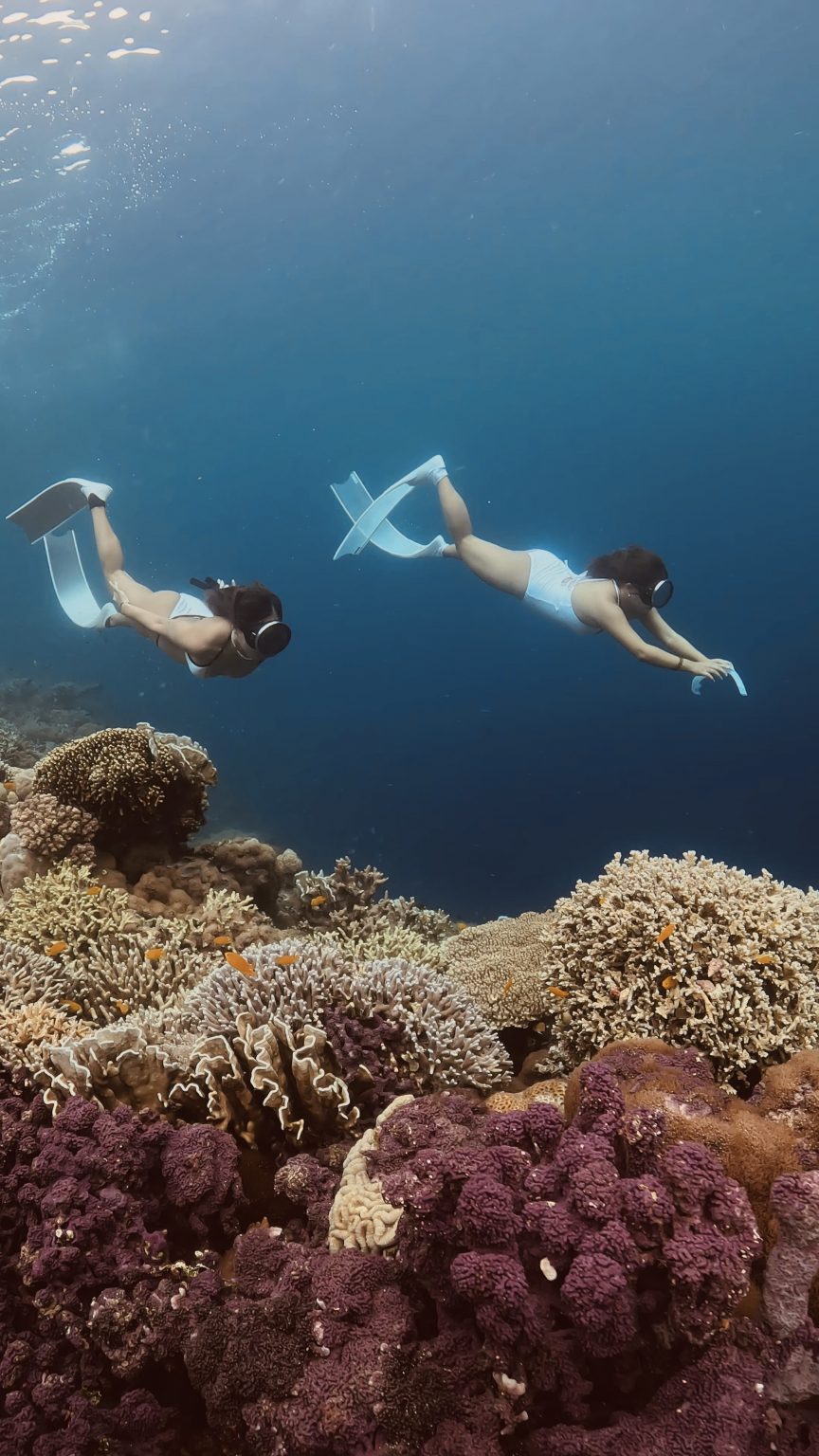 FREEDIVING IN BOHOL: 5 Best Dive Spots, Dive Guide, Itinerary & Budget ...