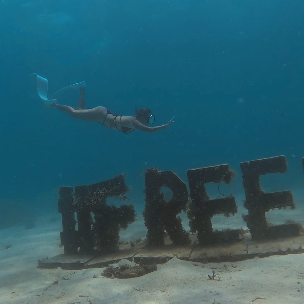 FREEDIVING IN BOHOL: 5 Best Dive Spots, Dive Guide, Itinerary & Budget ...