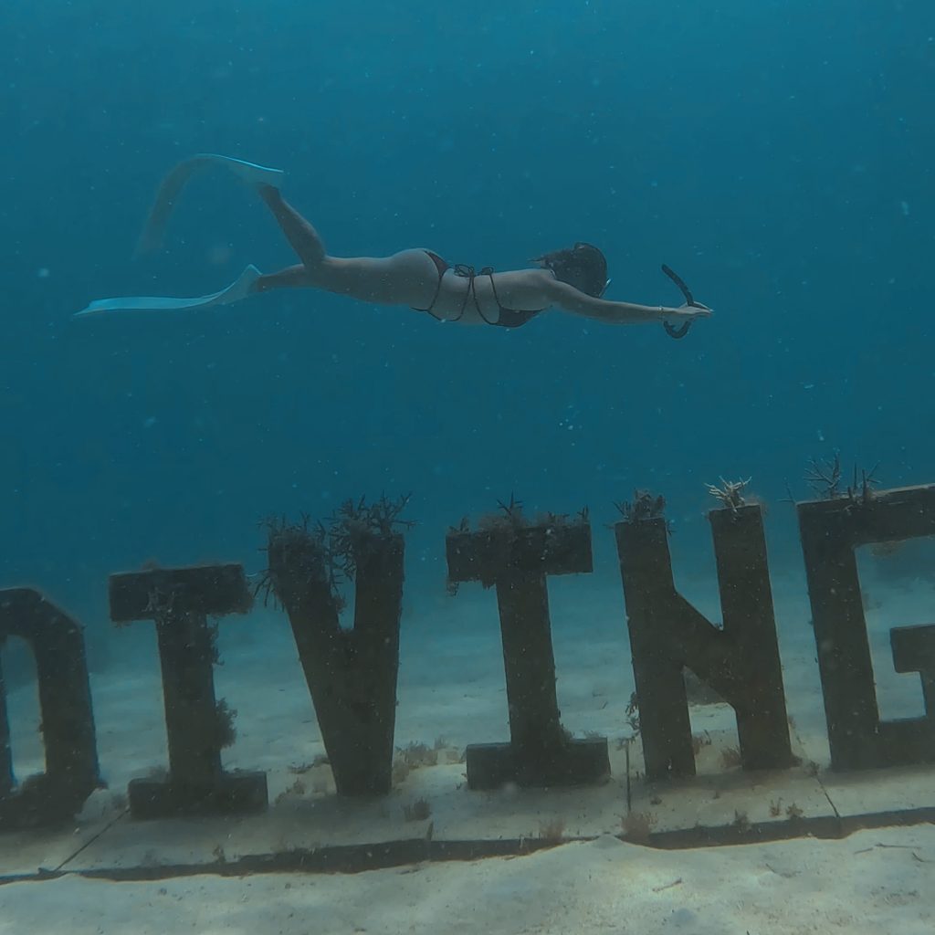 FREEDIVING IN BOHOL: 5 Best Dive Spots, Dive Guide, And Itinerary ...